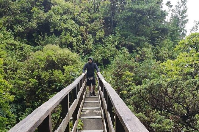 Private hike along the Levada - Key Points