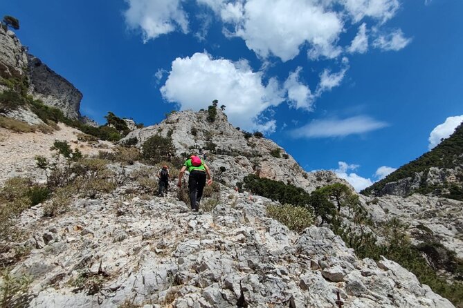 Private La Grota Via Ferrata Athens - Exploring the Private La Grota Via Ferrata Athens: An Adventure Close to the City