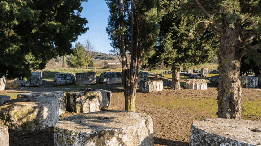 Private Luxury Tour: Nemea's Ancient Sites & Wine Tasting - Who Should Consider This Tour?