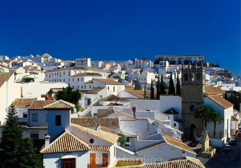 Private Ronda Day Trip Tour from Sevile - Who Should Consider This Tour?