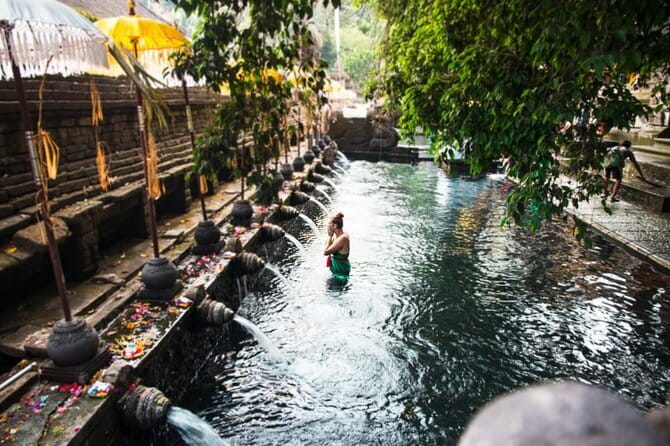 Private Shore Excursion: Highlights of Bali - Key Points