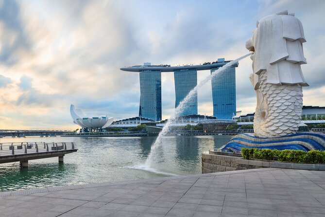 Private Singapore City Tour and National Orchid Garden - Transport and Comfort