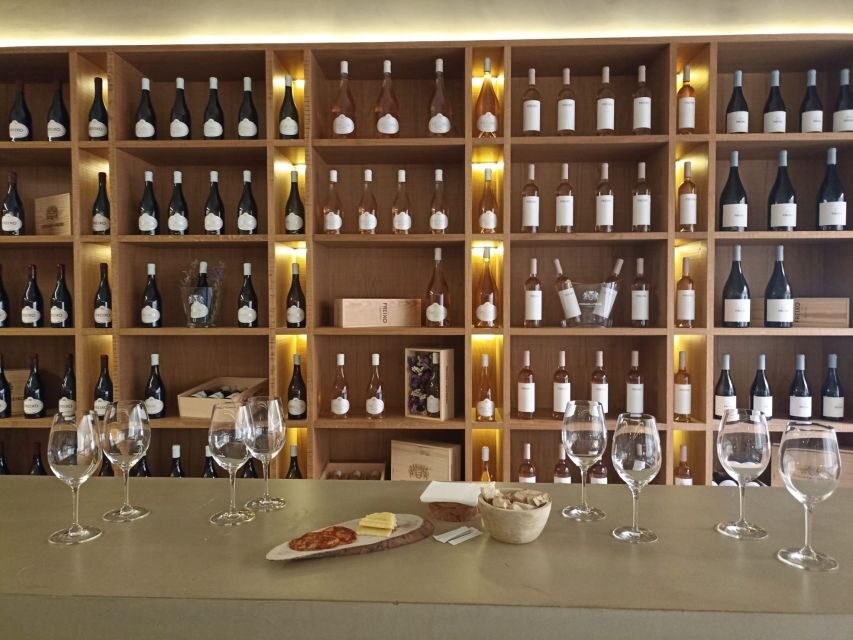 Private Tour Alentejo: Évora, WineTasting and Monsaraz - Key Points