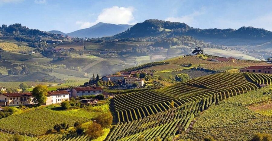 Private Tour: Barolo Wine Tasting in Langhe area from Torino - Key Points