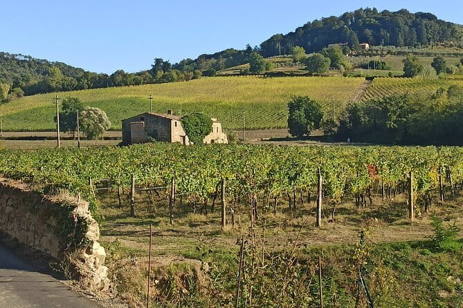 PRIVATE TOUR: Chianti Afternoon tour with visit to 2 wine farms - Exploring the Charm of Tuscany: A Detailed Look at the Private Chianti Afternoon Tour