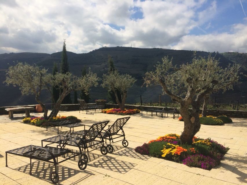 Private Tour: Douro Valley Wine and Food from Oporto - What to Expect: Practical Details and Tips