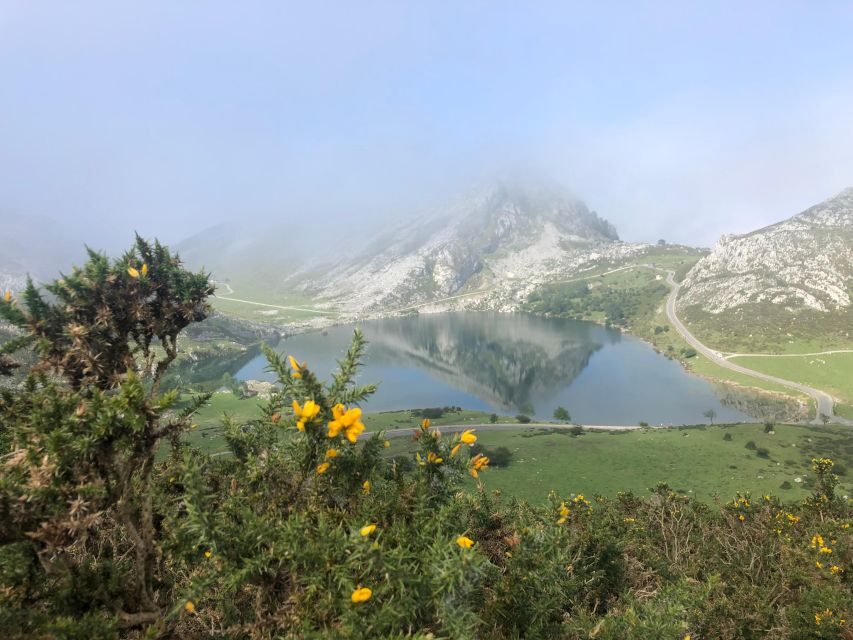 Private Tour from Oviedo to Covadonga and Europe Peaks lakes - A Day in Asturias: What to Expect from the Tour