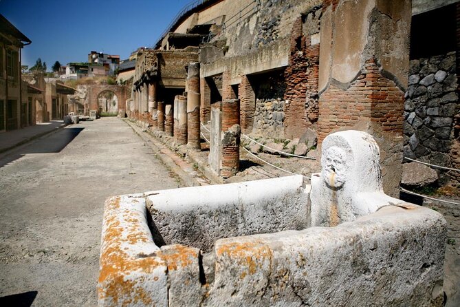 Private Tour in Herculaneum for Families from Naples - An in-depth look at the Private Tour in Herculaneum for Families from Naples