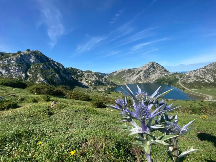 Private Tour Northern Spain 10 days - What Makes This Tour Stand Out?