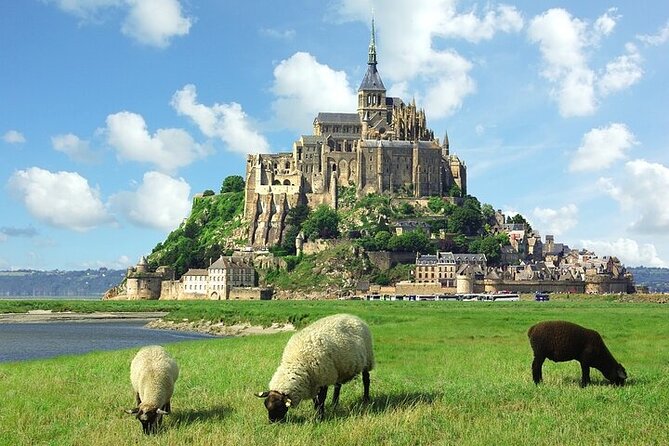Private tour of Mont Saint-Michel and the D-Day Beaches - An In-Depth Look at the Tour Experience