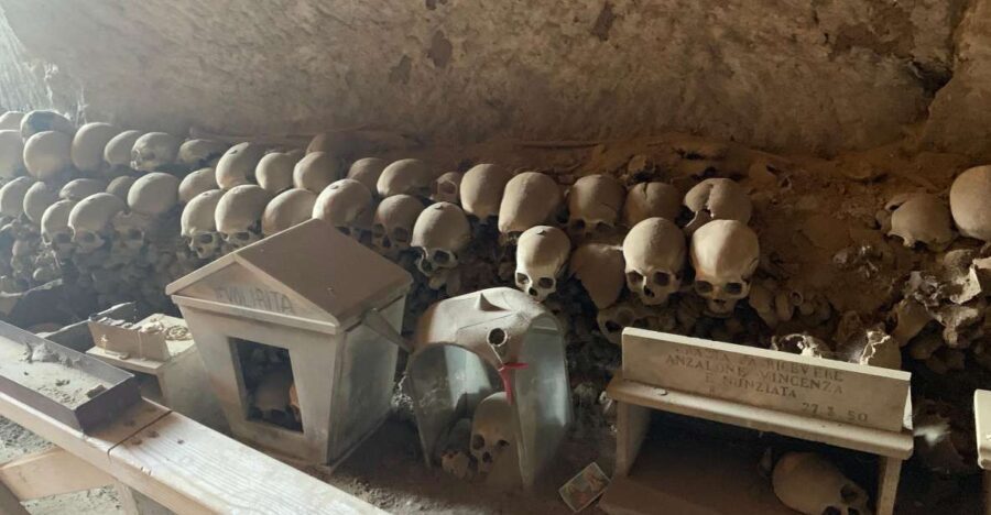 Private Tour Pompeii+Mont. Vesuvius - Evaluating the Cost and Value