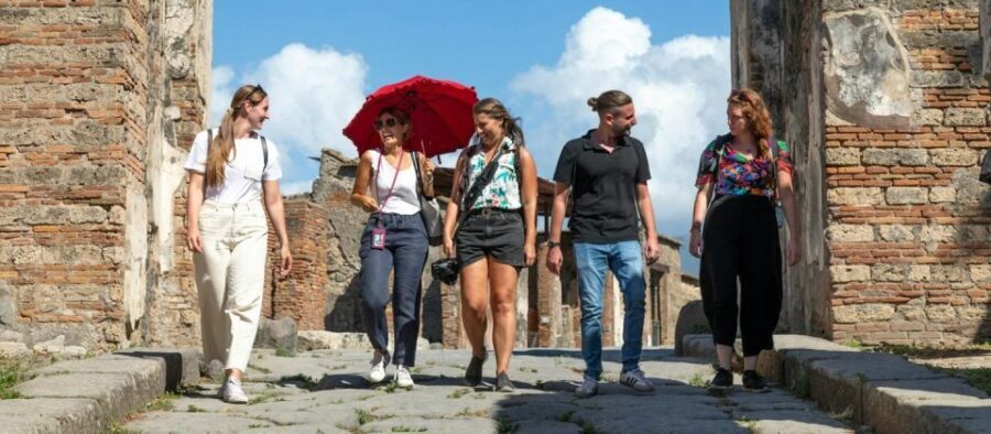 Private Tour to Sorrento Coast Pompeii and Vesuvius - Why This Tour Offers Great Value