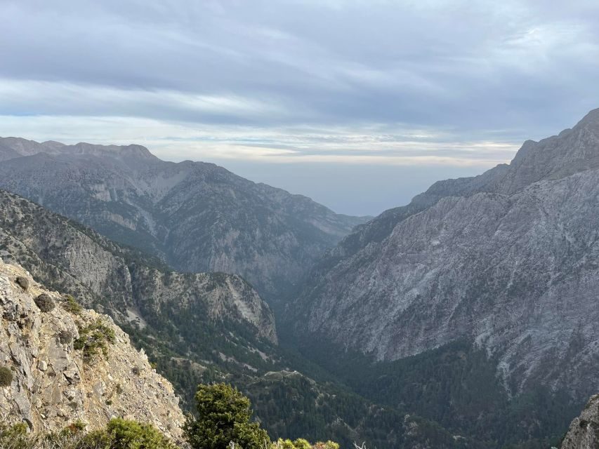 Private Tour to The White Mountains & Samaria from Above - Value and Practicalities
