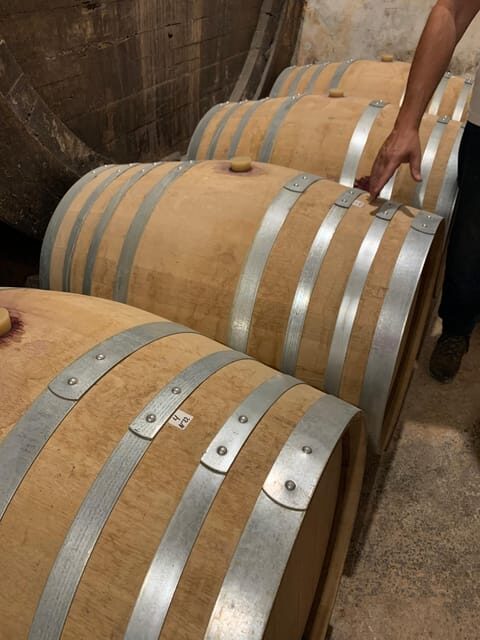 Private tour: Wine and tapas, experience real Mallorca - What the Reviews Say