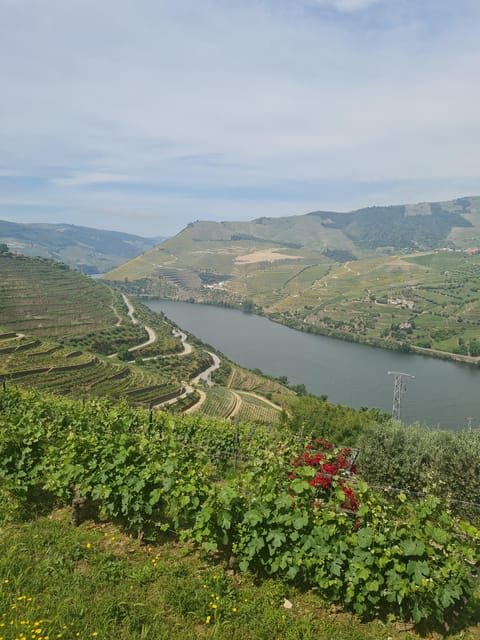 Private tours and transport amazing for you at DOURO Valley - What to Expect on This Douro Valley Private Tour