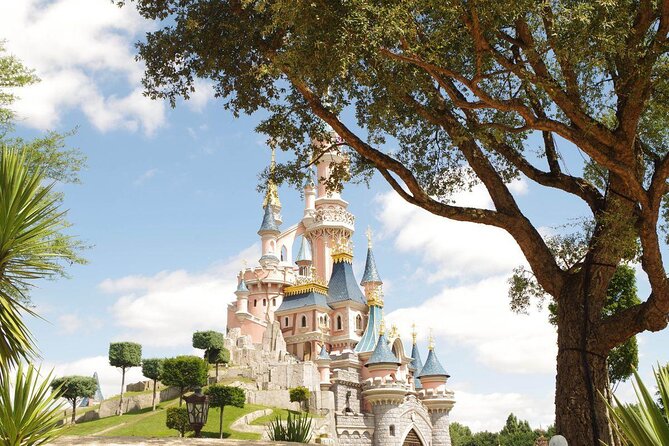 Private Transfer from Paris City to Disneyland Paris by MiniVan - A Closer Look at the Private Transfer Experience