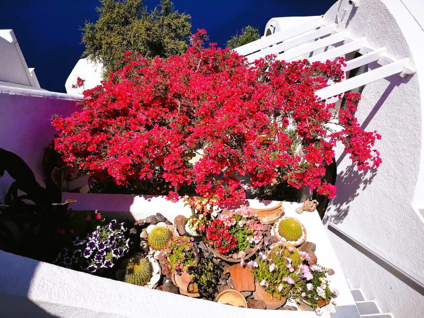 Private Unseen Authentic Santorini Half Day Shore Excursion - What Travelers Say About This Tour