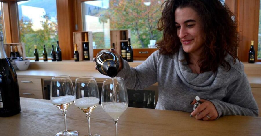 Private Venetian Hills Wine Tour - The Value and Who Will Appreciate This Tour