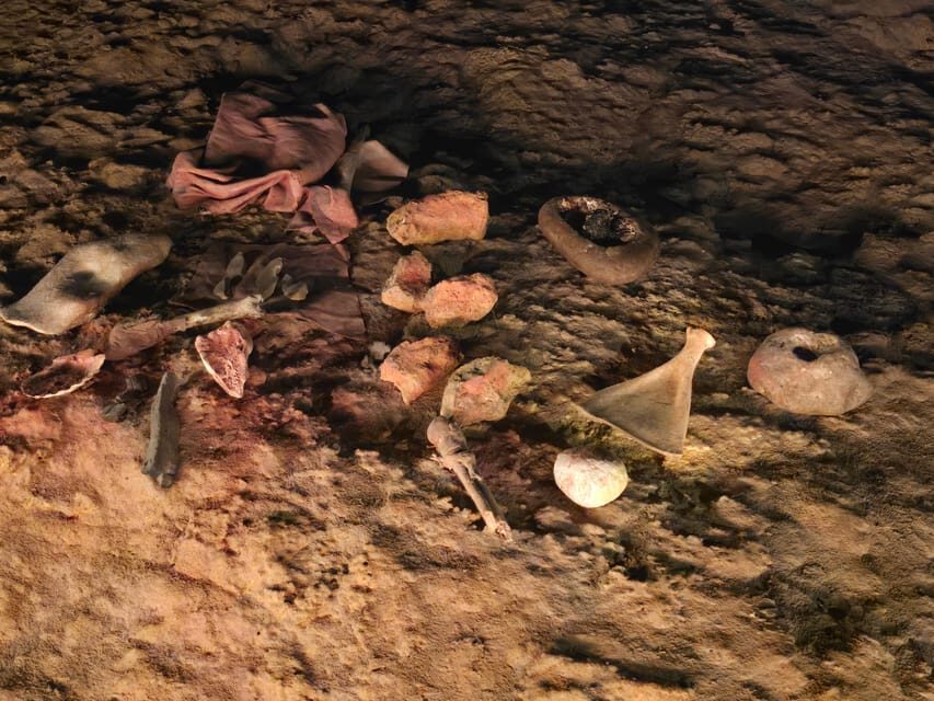 Private visit Altamira Museum and Neocave: the fascination of prehistory - The Itinerary Breakdown