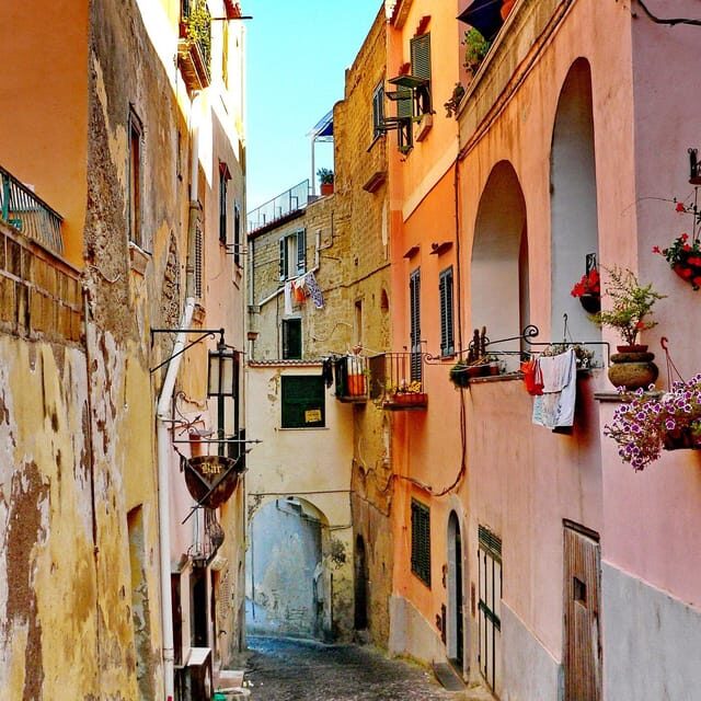 Procida free hydrofoil tour + transfer + typical dessert and coffee - What to Expect on Your Day in Procida