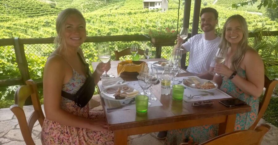 Prosecco Wine Tasting Tour. Half Day. From Venice - What to Expect: The Experience in Detail