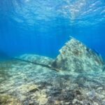 Proti Island: Snorkeling Boat Tour - FAQs