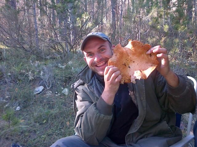 Provence: Mushroom Hunting with Outdoor Breakfast - Introduction: A Unique Slice of Provence