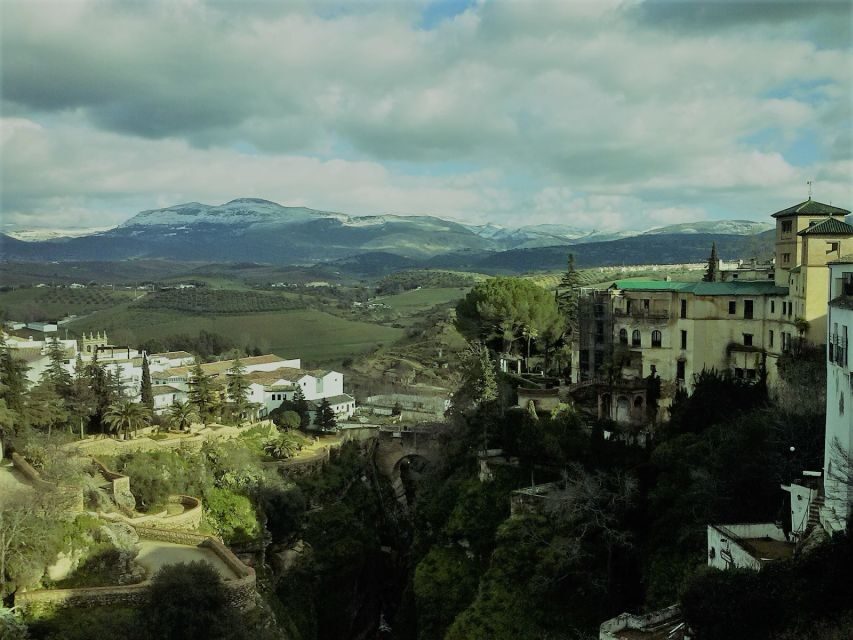 Pueblos Blancos & Ronda: Private Full-Day Tour from Seville - An In-Depth Look at the Tour Experience