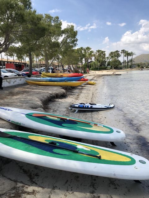 Puerto de Alcudia: Stand-Up Paddleboard Lesson - The Setting: Why This Location Matters