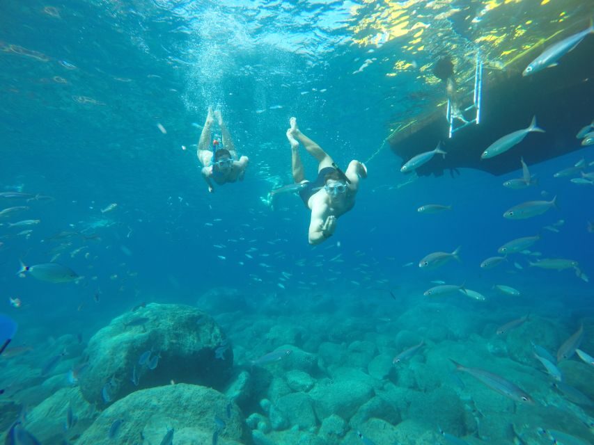Puerto de Mogan: Boat and Snorkeling Trip - What Sets This Tour Apart?