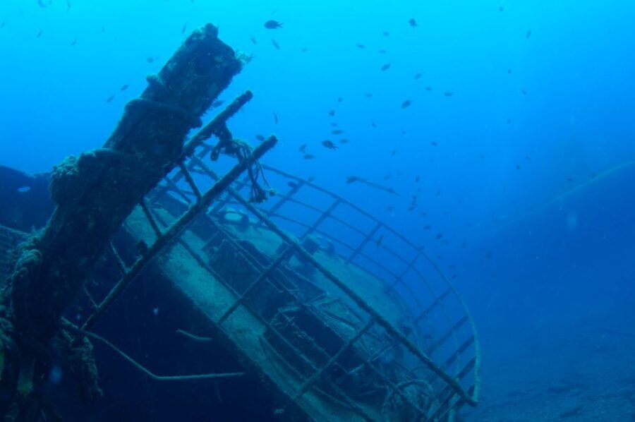 Puerto de Mogán: Submarine Tour - The Experience and Its Value