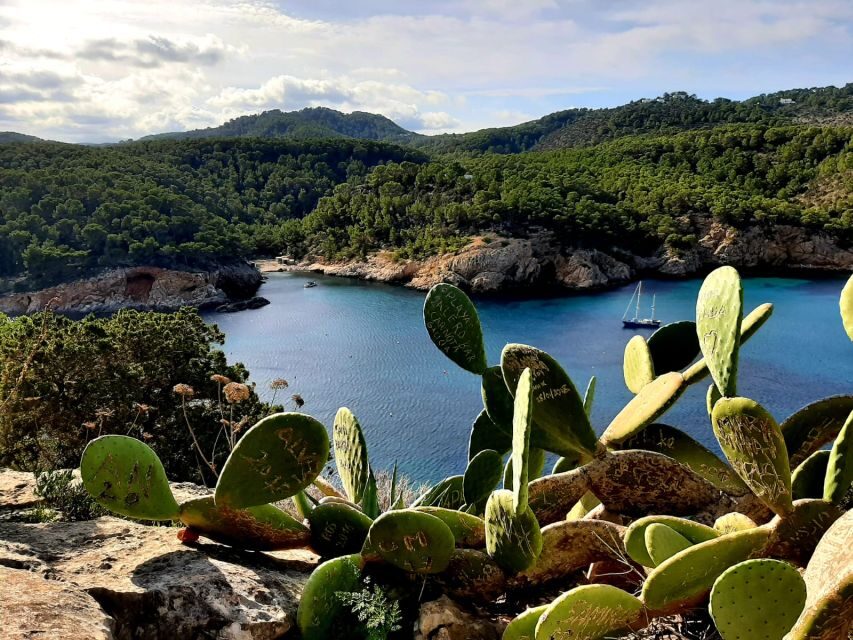 Puerto de San Miguel: Can Marçá Cave Guided Tour with Entry - The Itinerary Breakdown