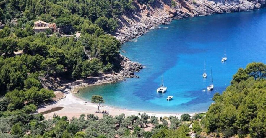 Puerto de Sóller: Cala Tuent Return Boat Trip - The Value and Practicalities