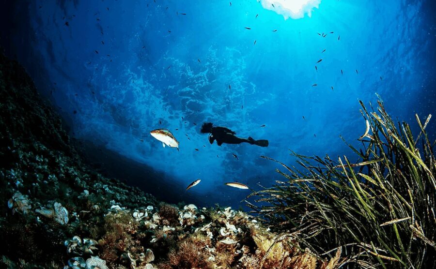 Puerto de Soller: Train and Discover Scuba Diving - The Itinerary Breakdown