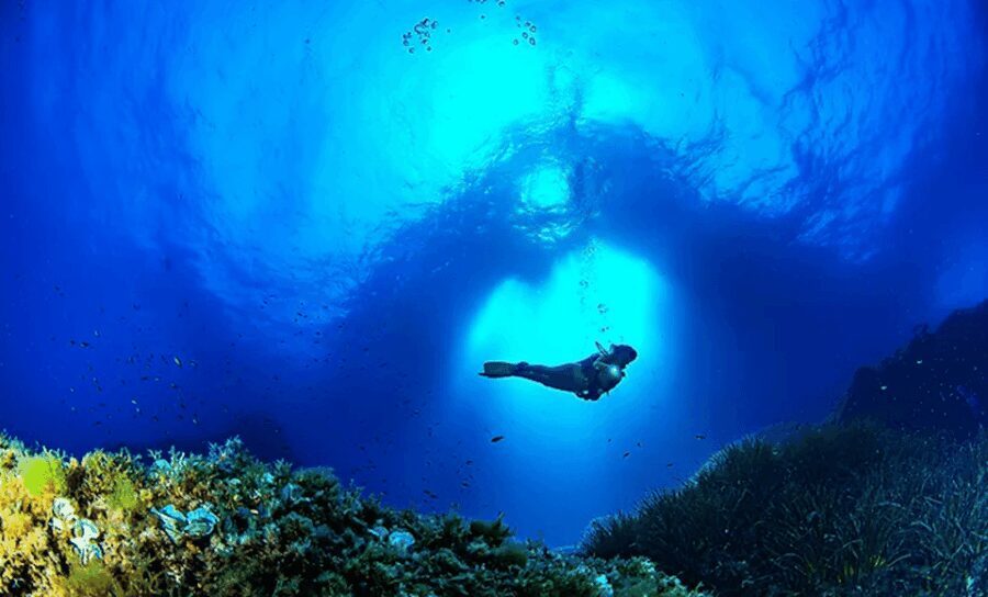 Puerto de Soller: Train and Guided Scuba Diving Experience - The Diving Experience: What to Expect