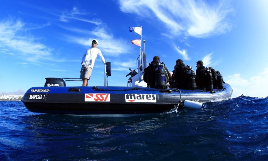 Puerto del Carmen: Guided Scuba Dive (certified only) - The Value of This Dive Experience