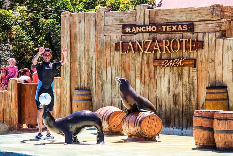 Puerto del Carmen: Rancho Texas Lanzarote Park Entry Ticket - Analyzing the Value and Overall Experience