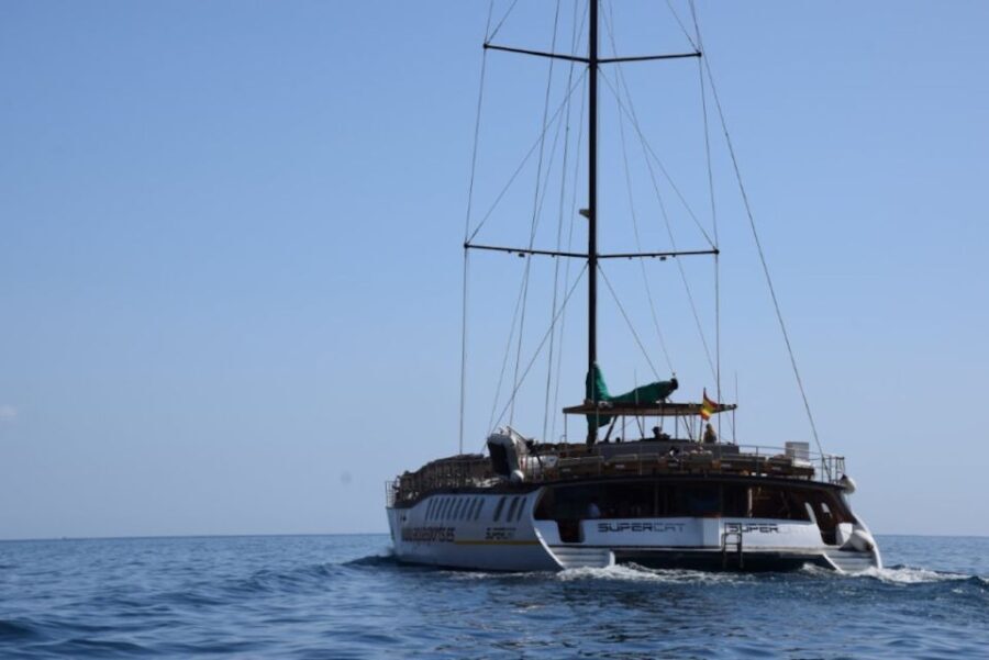 Puerto Rico : 2 hour Dolphin Catamaran Excursion - What to Expect on the Dolphin Catamaran Excursion