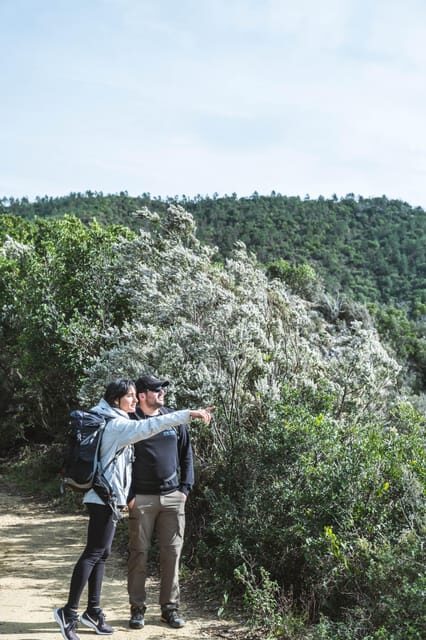 Punta Baffe: hiking immersed in the Mediterranean bush overlooking the sea - What Makes This Tour Stand Out?