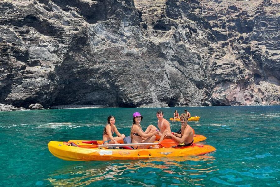 Punta de Teno: Kayak Safari overlooking Los Gigantes Cliffs - Who Should Consider This Tour?
