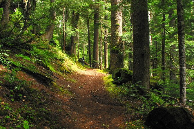 Pyrenees Hiking Experience from Barcelona. Small Group Tour - A Closer Look at the Pyrenees Hiking Experience