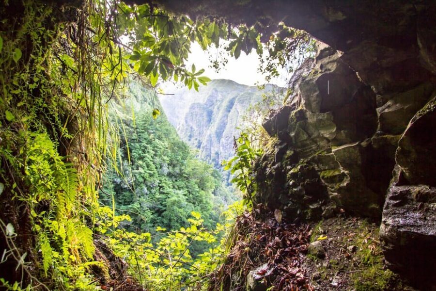 Queimadas Caldeirão Verde Madeira Island Walk - Who Would Enjoy This Tour?