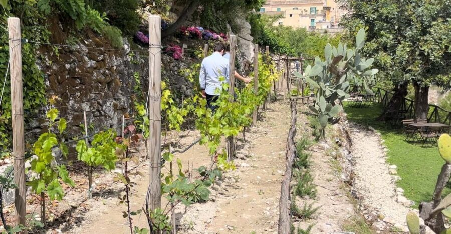 Radici: IImmerse yourself in the heady scents of our garden - Who Should Consider This Tour?