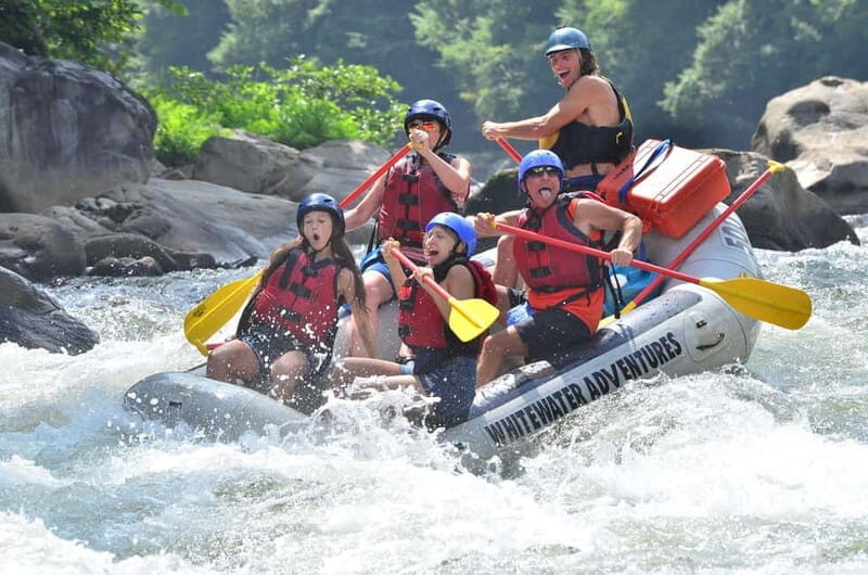Rafting Tour, Transfer & Combo Options with Veg Lunch Option - Breaking Down the Itinerary