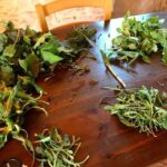 Ragusa Countryside Home Cooking Class & Meal - Who Will Love This Tour?