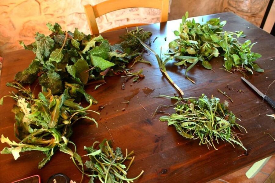 Ragusa Countryside Home Cooking Class & Meal - Who Will Love This Tour?