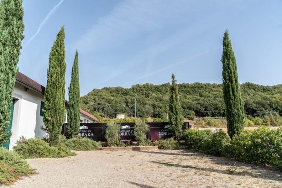 Raise a Glass: Exclusive Wine Experiences Near Orvieto - An In-Depth Look at the "Raise a Glass" Experience