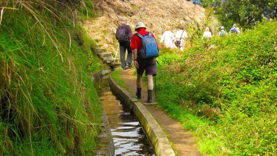 Referta / Castelejo - Levada Walk - Itinerary Breakdown and Highlights