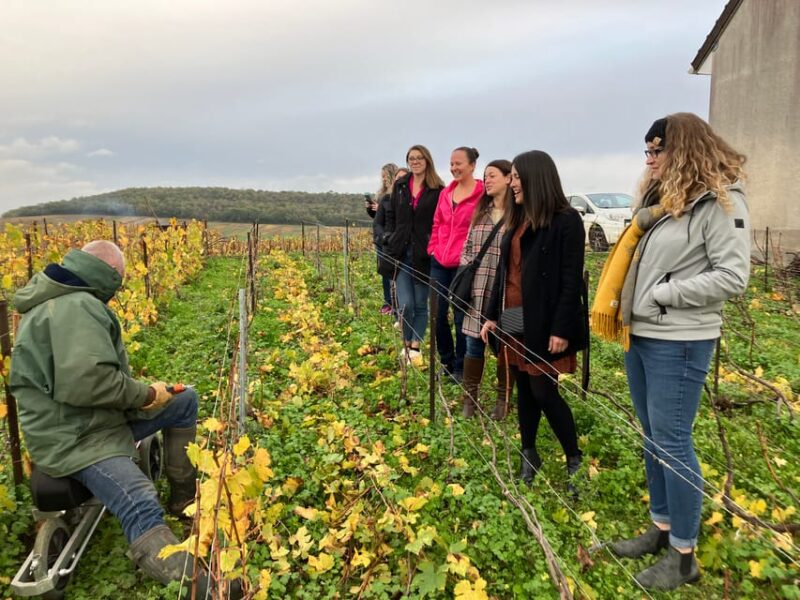 Reims/Epernay: Champagne Day Tour with Tastings - Introduction
