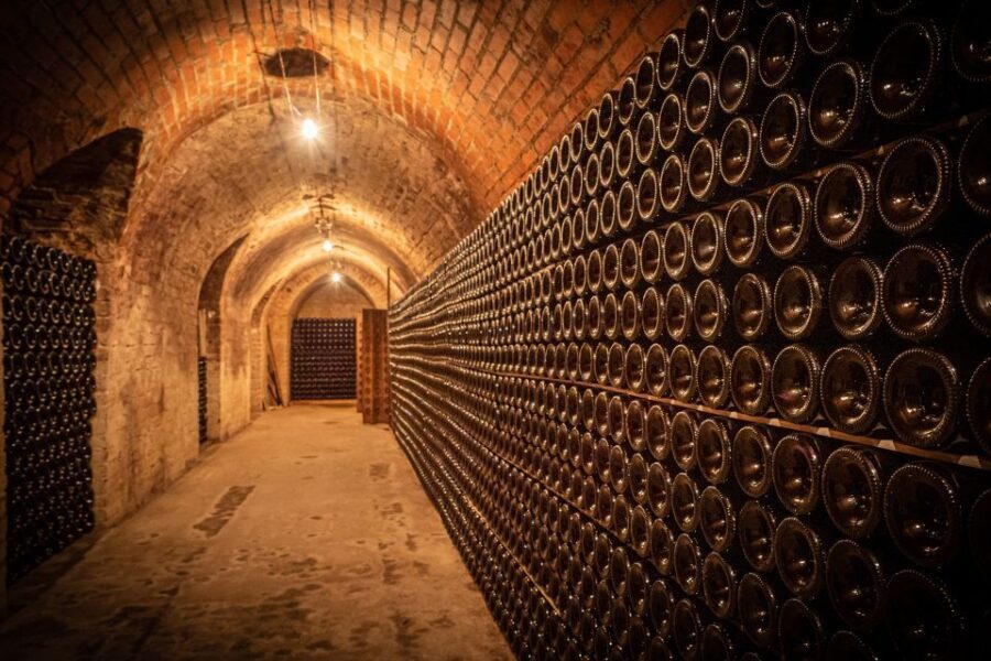 Reims & Epernay: Full Day Private Champagne Tour & 2 Growers - Who Should Consider This Tour?